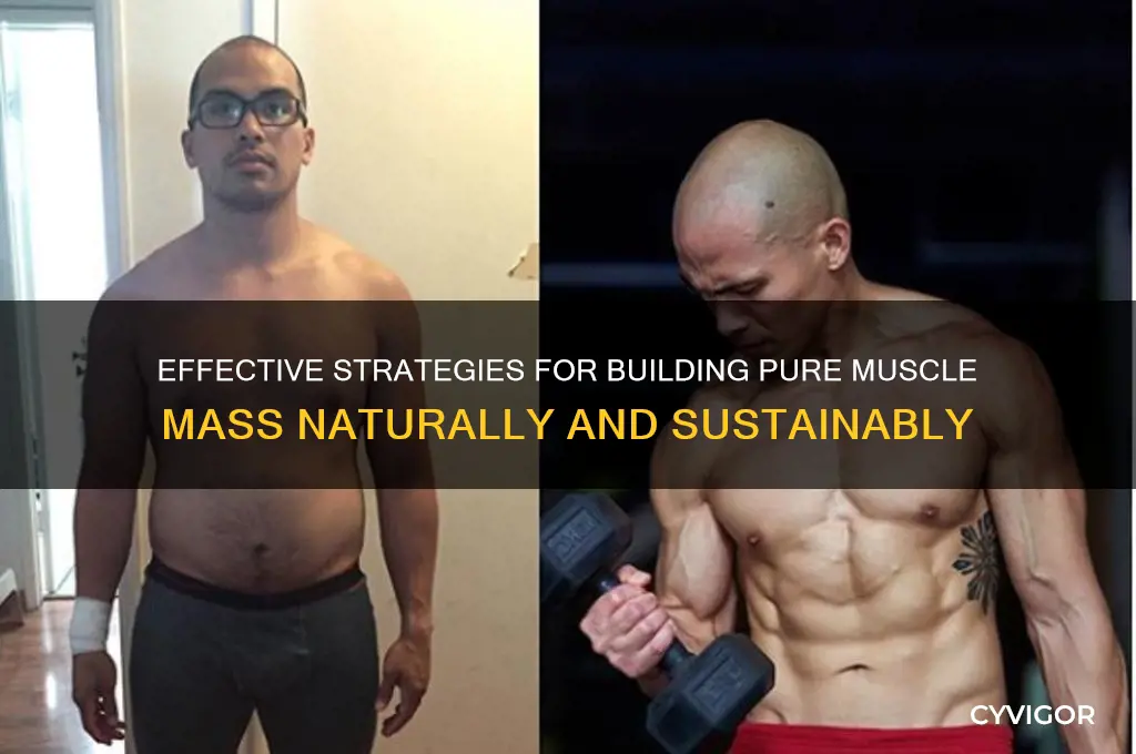 Effective Strategies For Building Pure Muscle Mass Naturally And ...