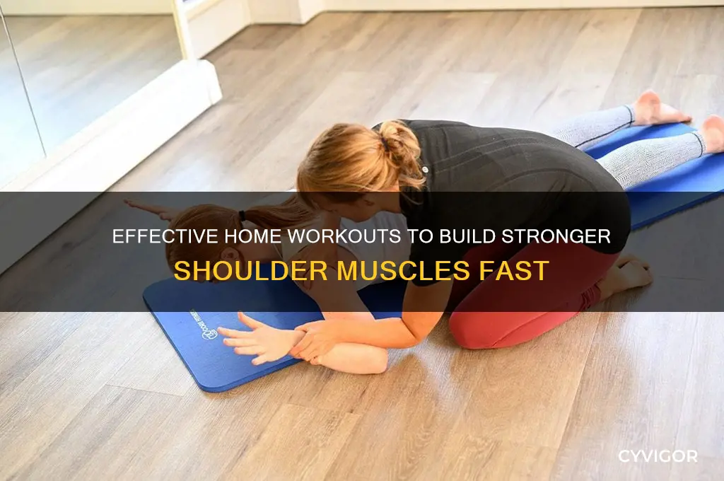 Effective Home Workouts To Build Stronger Shoulder Muscles Fast | CyVigor