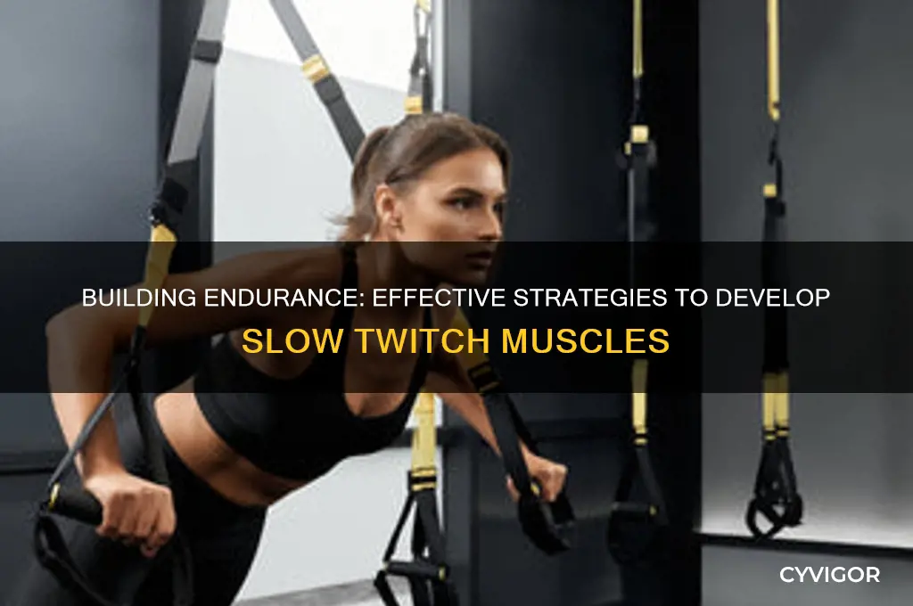 Building Endurance: Effective Strategies To Develop Slow Twitch Muscles ...
