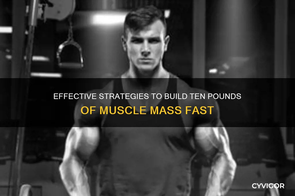 Effective Strategies To Build Ten Pounds Of Muscle Mass Fast | CyVigor