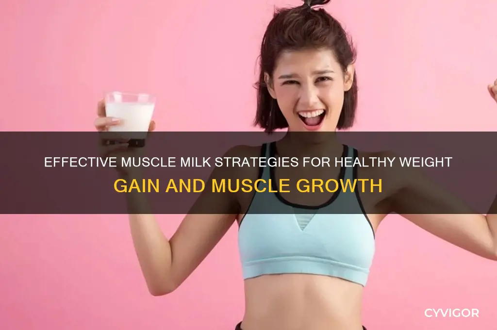 Effective Muscle Milk Strategies For Healthy Weight Gain And Muscle ...