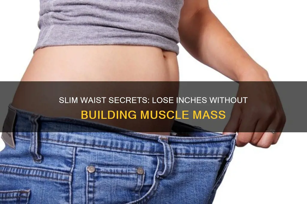 Slim Waist Secrets: Lose Inches Without Building Muscle Mass | CyVigor