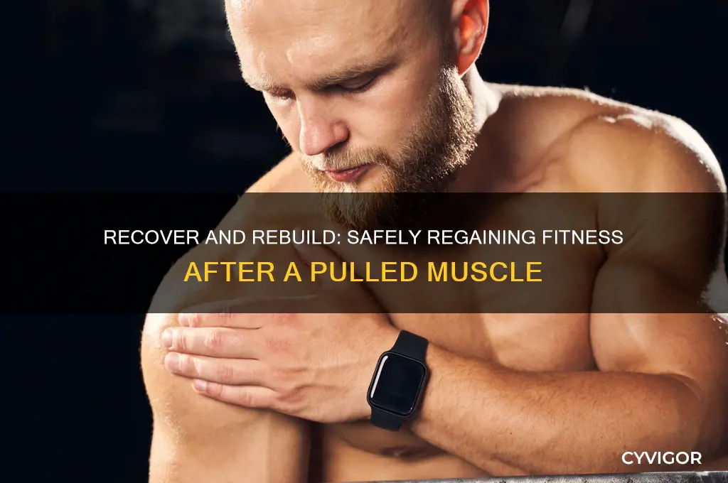 Recover And Rebuild: Safely Regaining Fitness After A Pulled Muscle ...