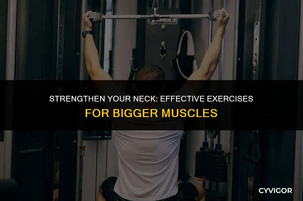 Strengthen Your Neck: Effective Exercises For Bigger Muscles | CyVigor