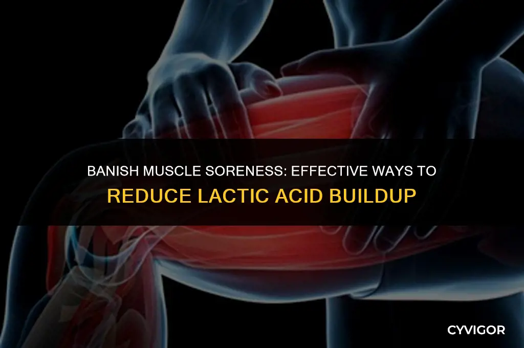 Banish Muscle Soreness: Effective Ways To Reduce Lactic Acid Buildup ...