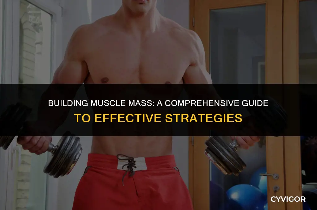 Building Muscle Mass: A Comprehensive Guide To Effective Strategies ...