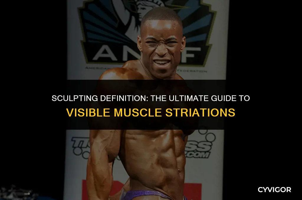 Sculpting Definition: The Ultimate Guide To Visible Muscle Striations ...