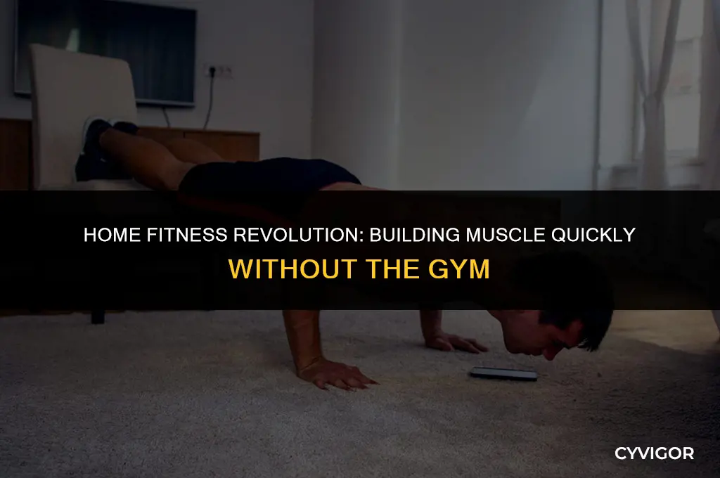 Home Fitness Revolution: Building Muscle Quickly Without The Gym | CyVigor