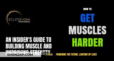 Sculpt Strong Arms At Home: A Guide To Building Muscle Without The Gym ...