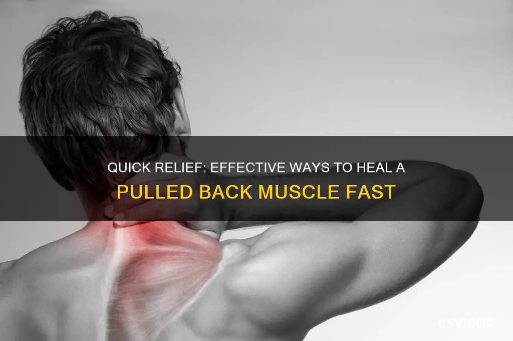 Quick Relief: Effective Ways To Heal A Pulled Back Muscle Fast | CyVigor