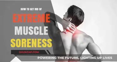 Sculpt Your Physique: The Ultimate Guide To Lean Muscle And Fat Loss ...