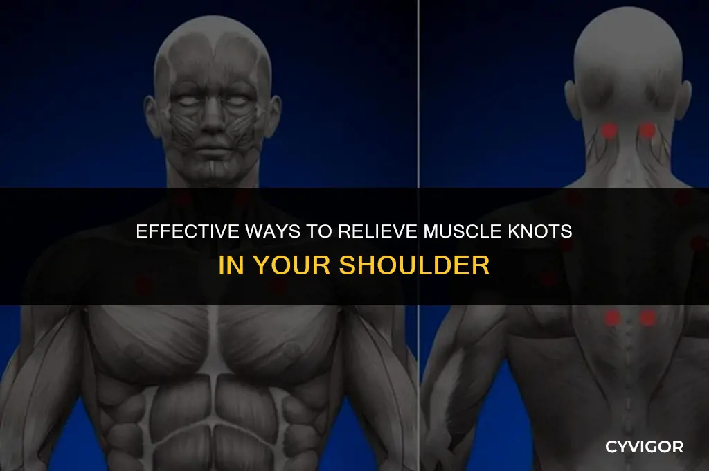 Effective Ways To Relieve Muscle Knots In Your Shoulder | CyVigor