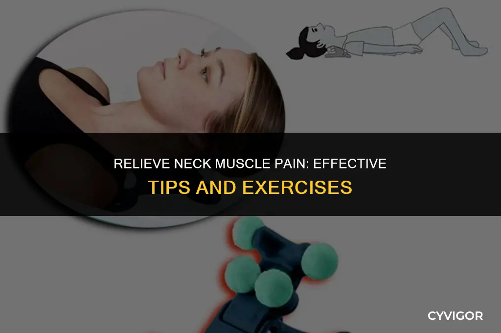 Relieve Neck Muscle Pain: Effective Tips And Exercises | CyVigor