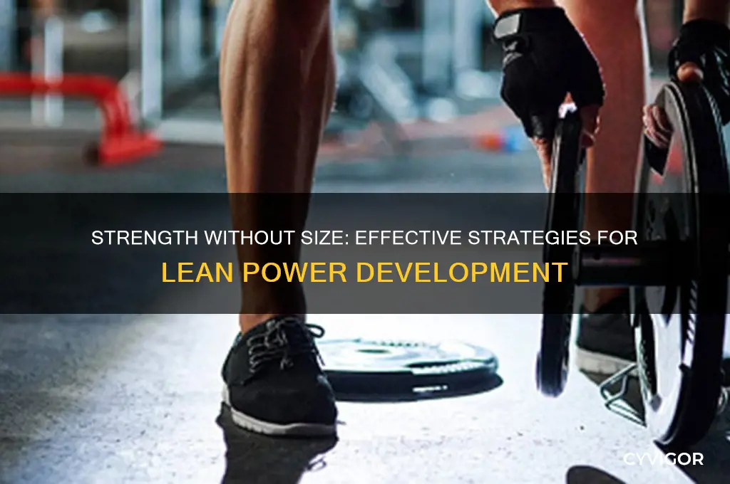 Strength Without Size: Effective Strategies For Lean Power Development ...