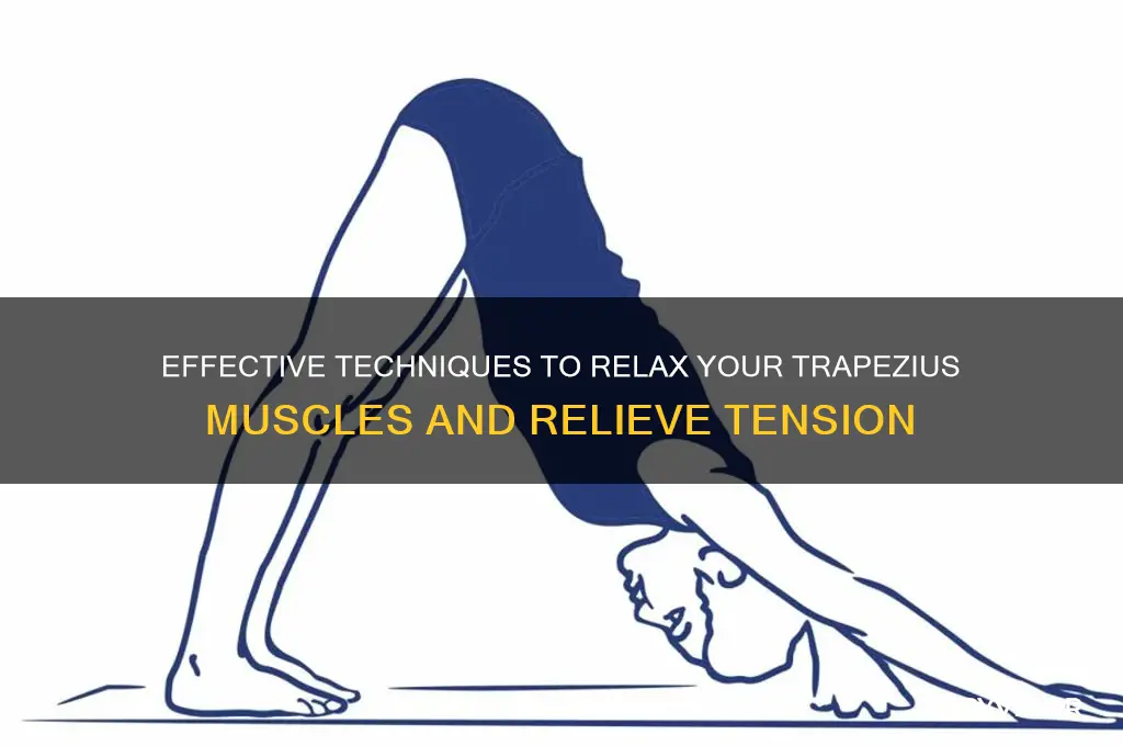 Effective Techniques To Relax Your Trapezius Muscles And Relieve ...