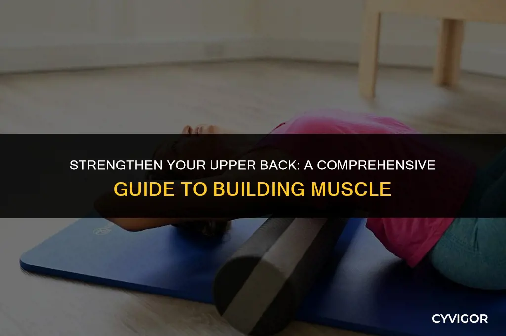 Strengthen Your Upper Back: A Comprehensive Guide To Building Muscle ...