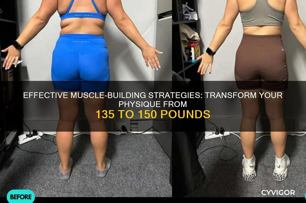 Effective Muscle-Building Strategies: Transform Your Physique From 135 ...