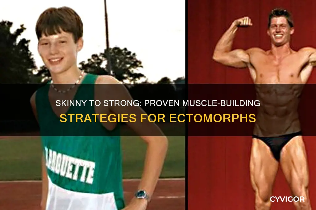 Skinny To Strong: Proven Muscle-Building Strategies For Ectomorphs ...