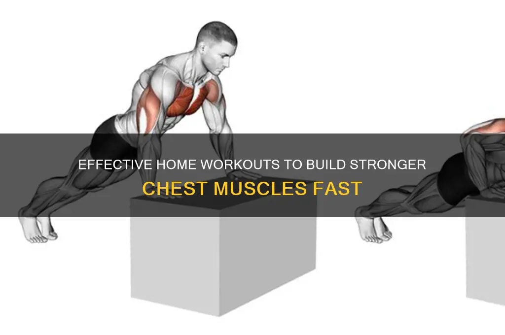 Effective Home Workouts To Build Stronger Chest Muscles Fast | CyVigor