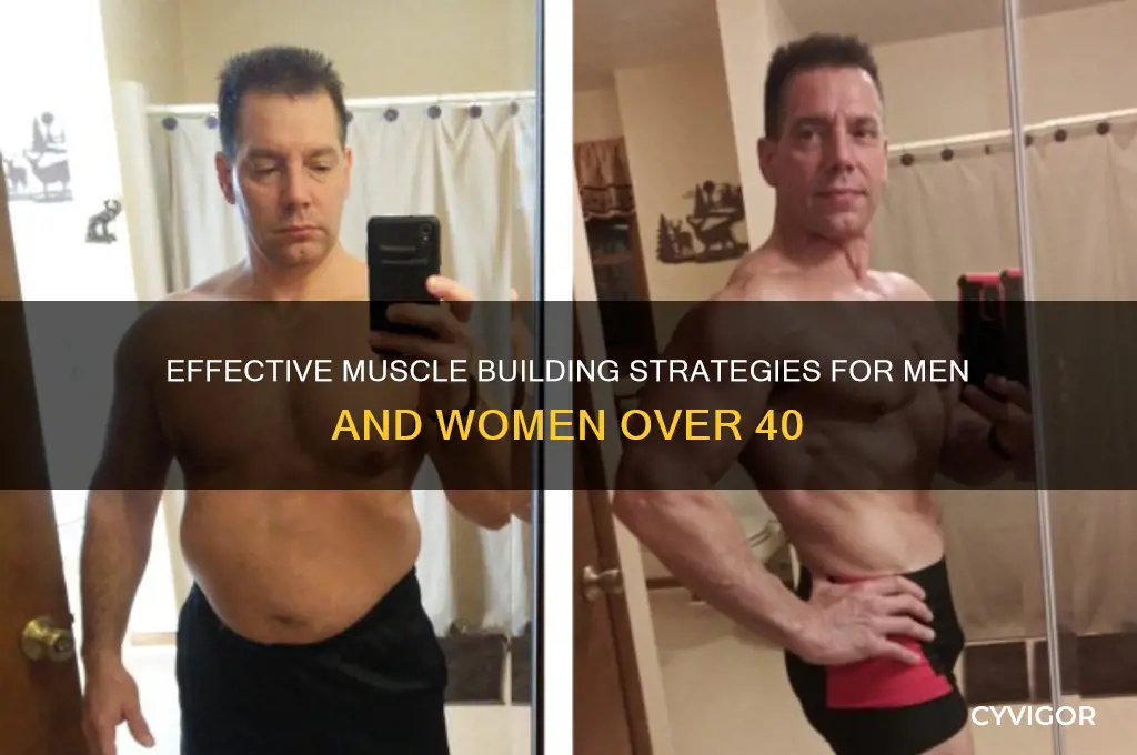 Effective Muscle Building Strategies For Men And Women Over 40 | CyVigor
