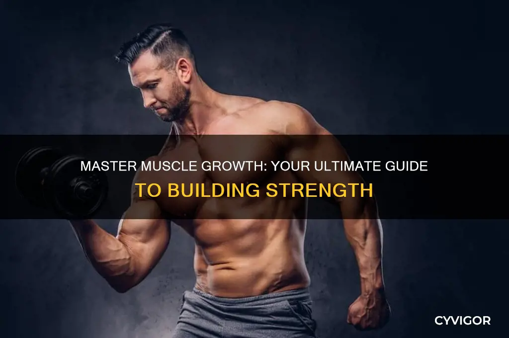 Master Muscle Growth: Your Ultimate Guide To Building Strength | CyVigor