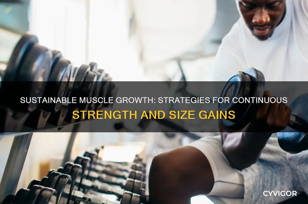 Sustainable Muscle Growth: Strategies For Continuous Strength And Size ...