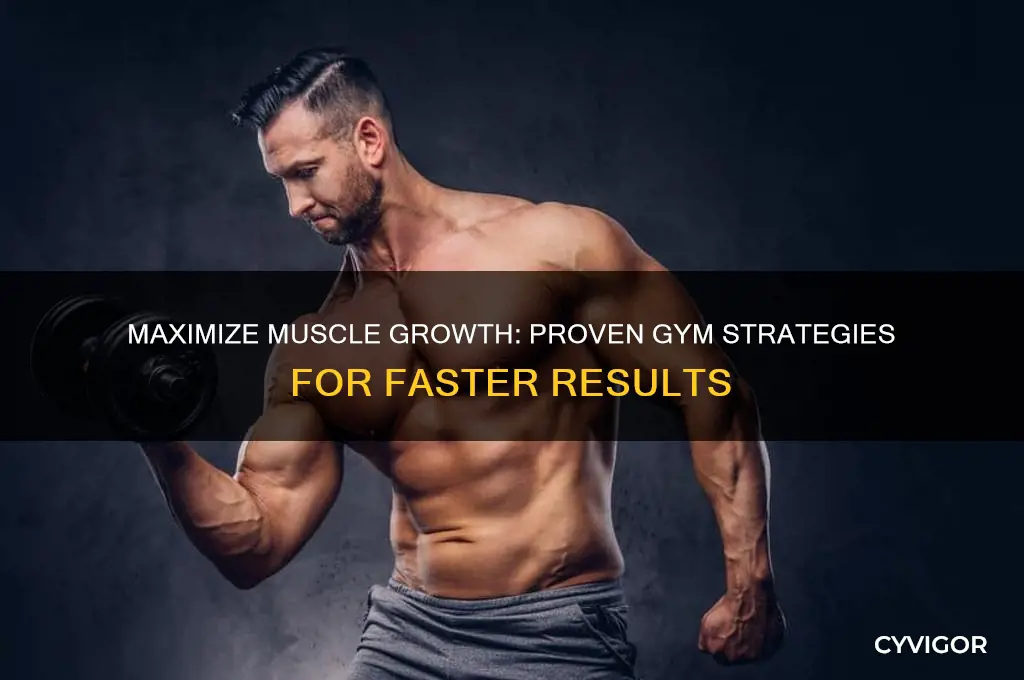 Maximize Muscle Growth: Proven Gym Strategies For Faster Results | CyVigor