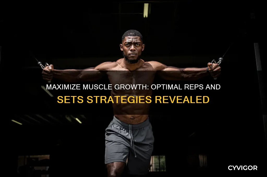 Maximize Muscle Growth: Optimal Reps And Sets Strategies Revealed | CyVigor