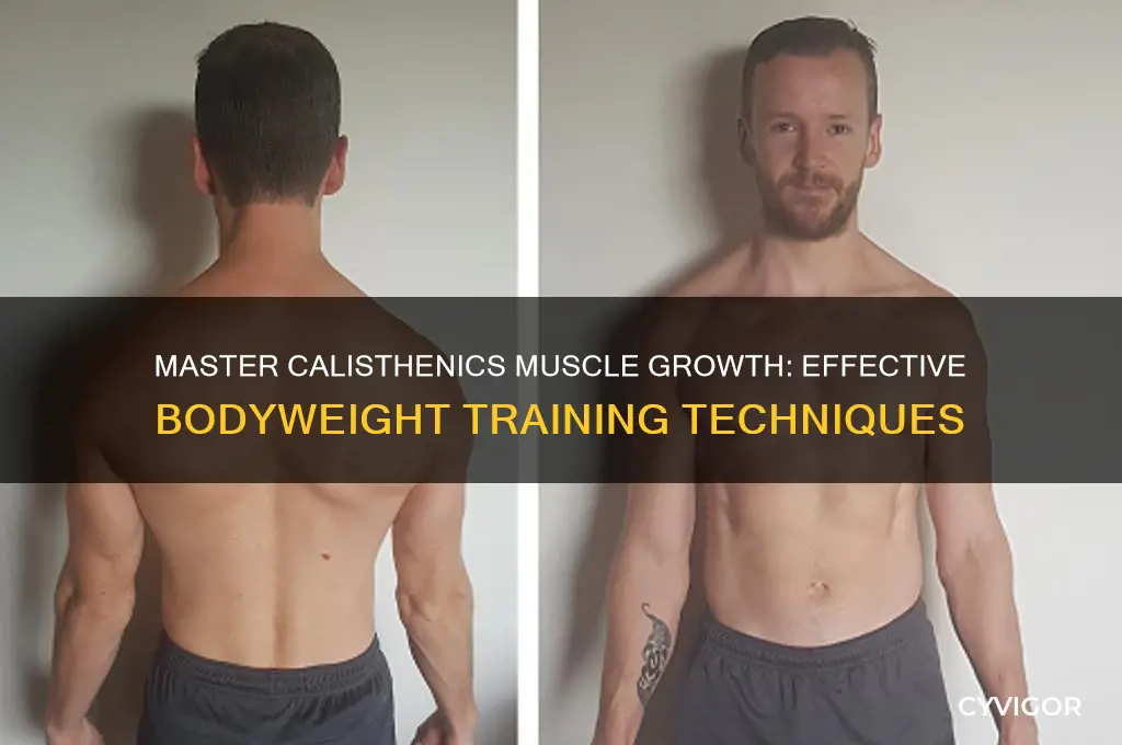 Master Calisthenics Muscle Growth: Effective Bodyweight Training ...