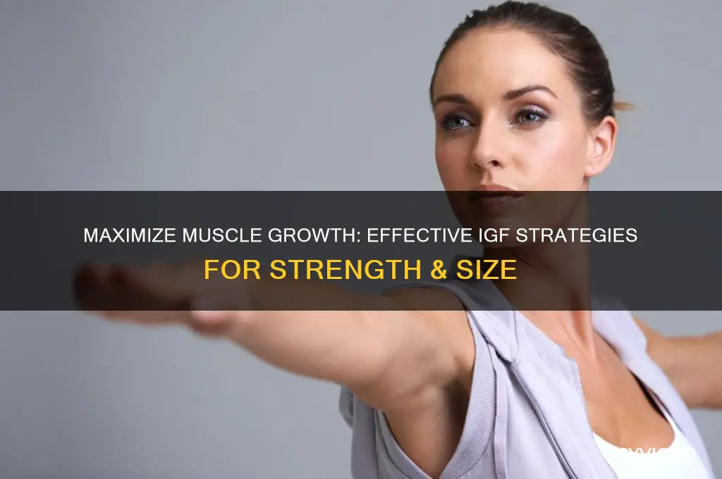 Maximize Muscle Growth: Effective Igf Strategies For Strength & Size ...