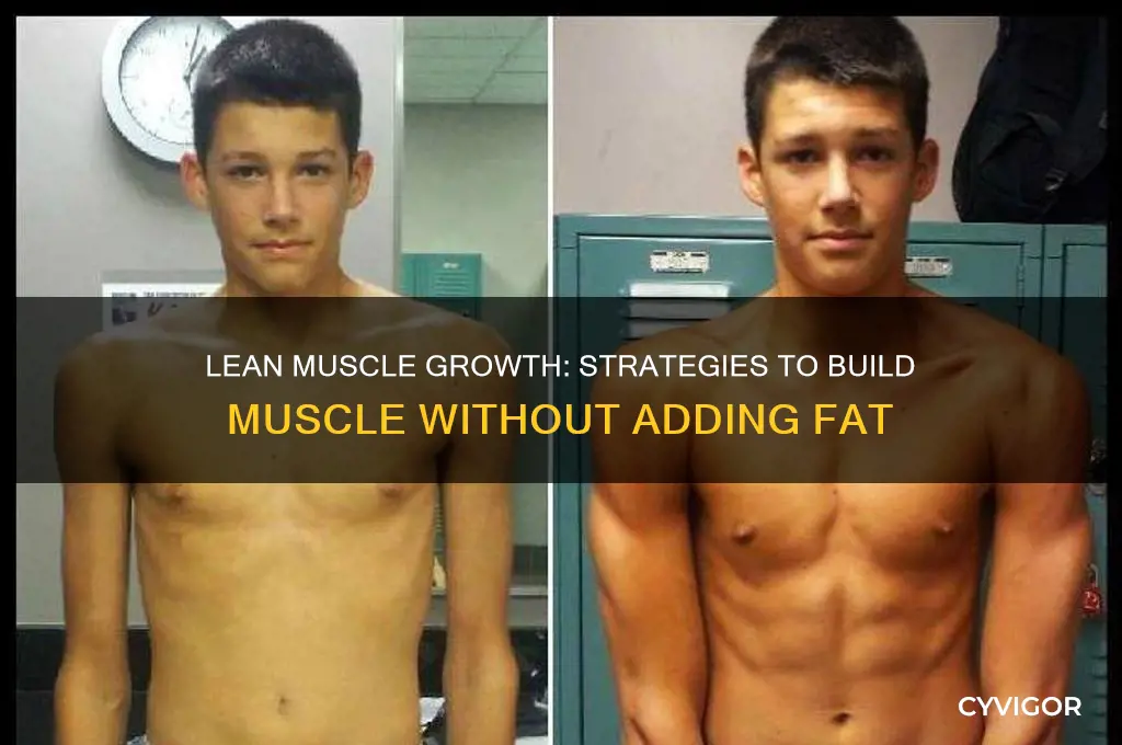 Lean Muscle Growth: Strategies To Build Muscle Without Adding Fat | CyVigor