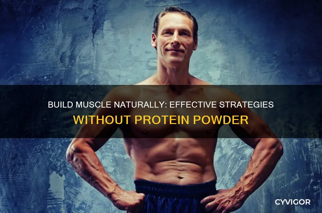 Build Muscle Naturally: Effective Strategies Without Protein Powder ...