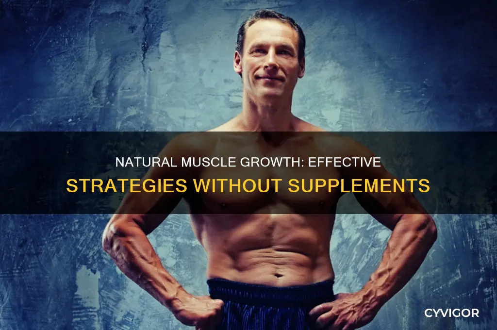 Natural Muscle Growth: Effective Strategies Without Supplements | CyVigor