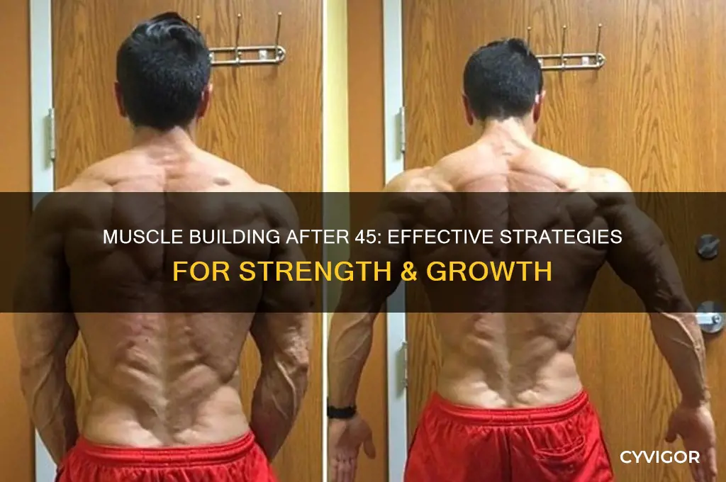Muscle Building After 45: Effective Strategies For Strength & Growth ...
