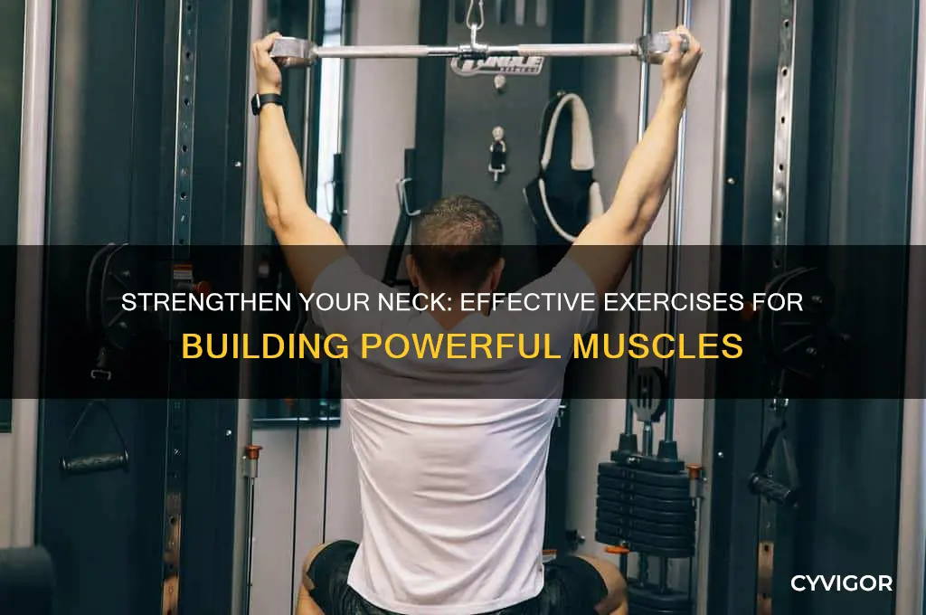 Strengthen Your Neck: Effective Exercises For Building Powerful Muscles ...