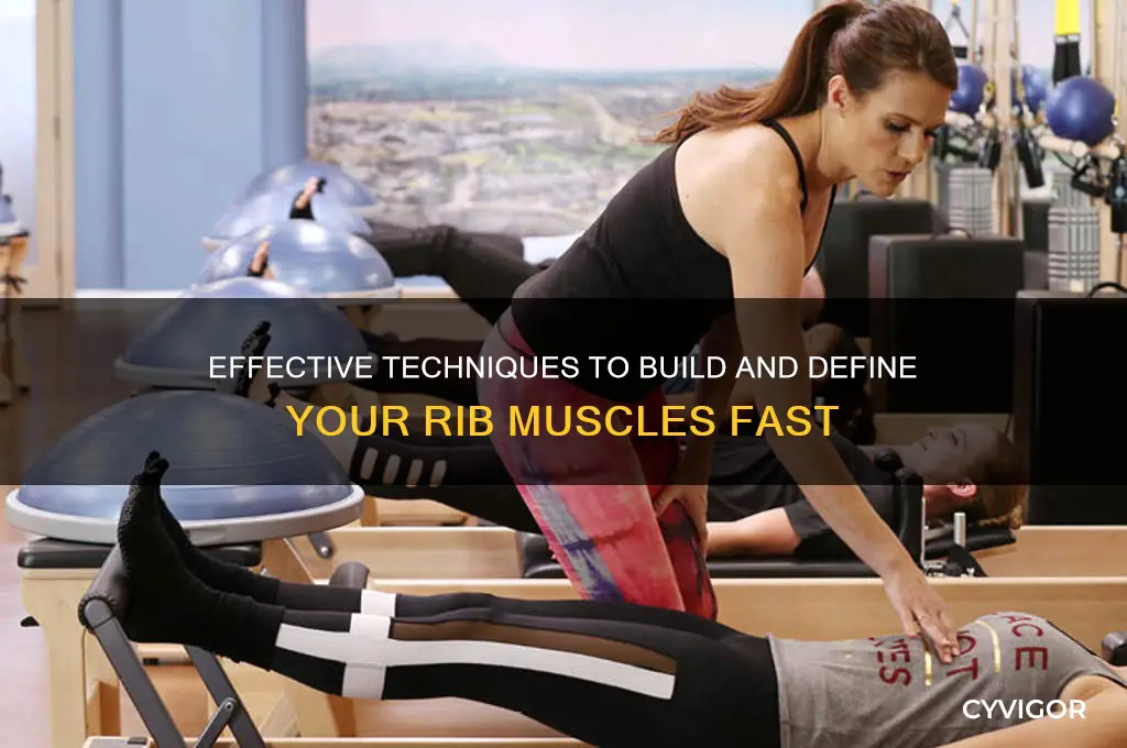 Effective Techniques To Build And Define Your Rib Muscles Fast | CyVigor