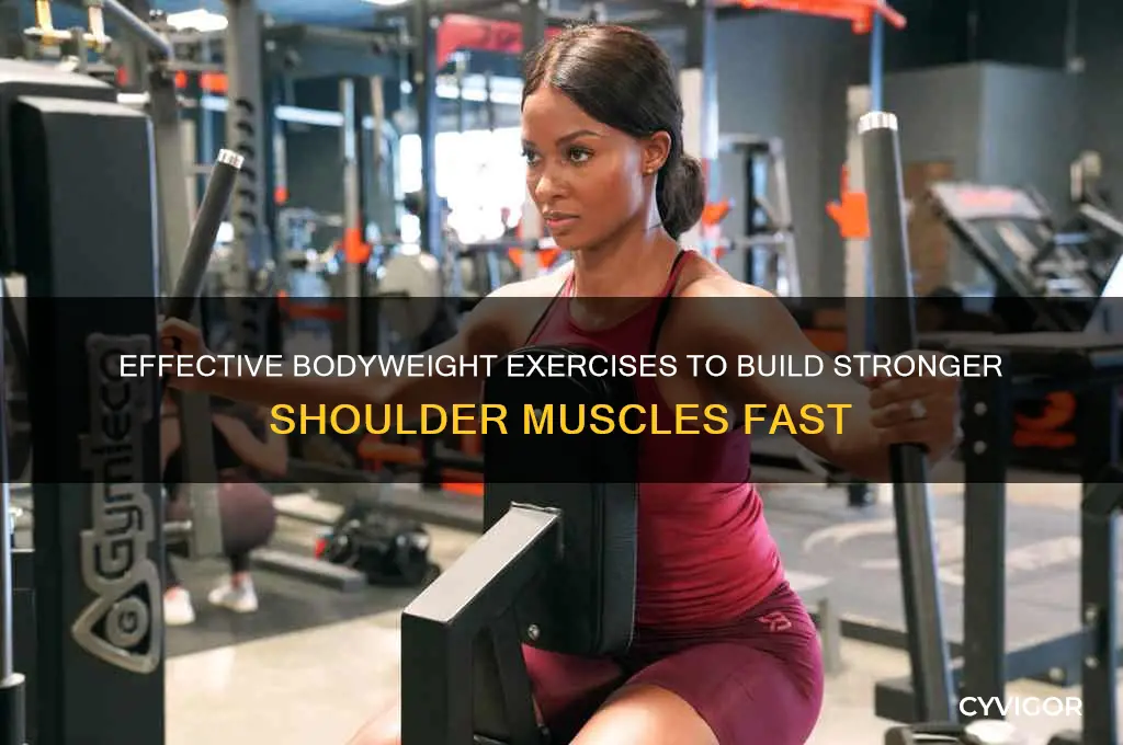 Effective Bodyweight Exercises To Build Stronger Shoulder Muscles Fast ...