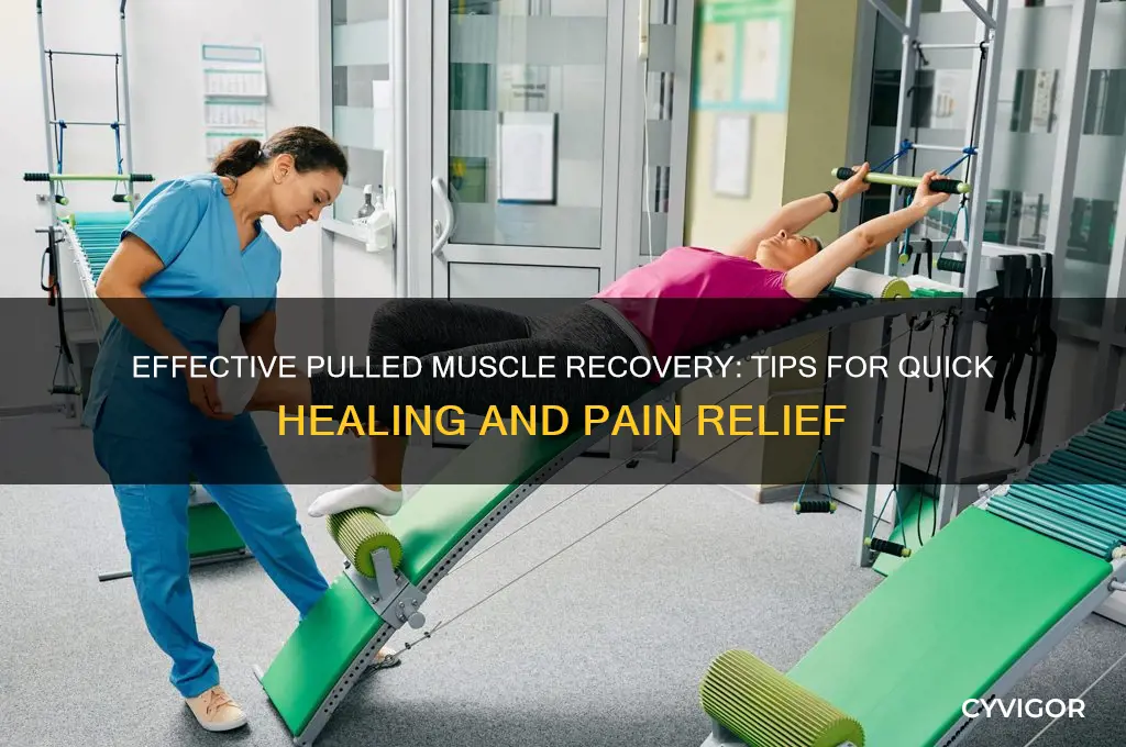 Effective Pulled Muscle Recovery: Tips For Quick Healing And Pain ...