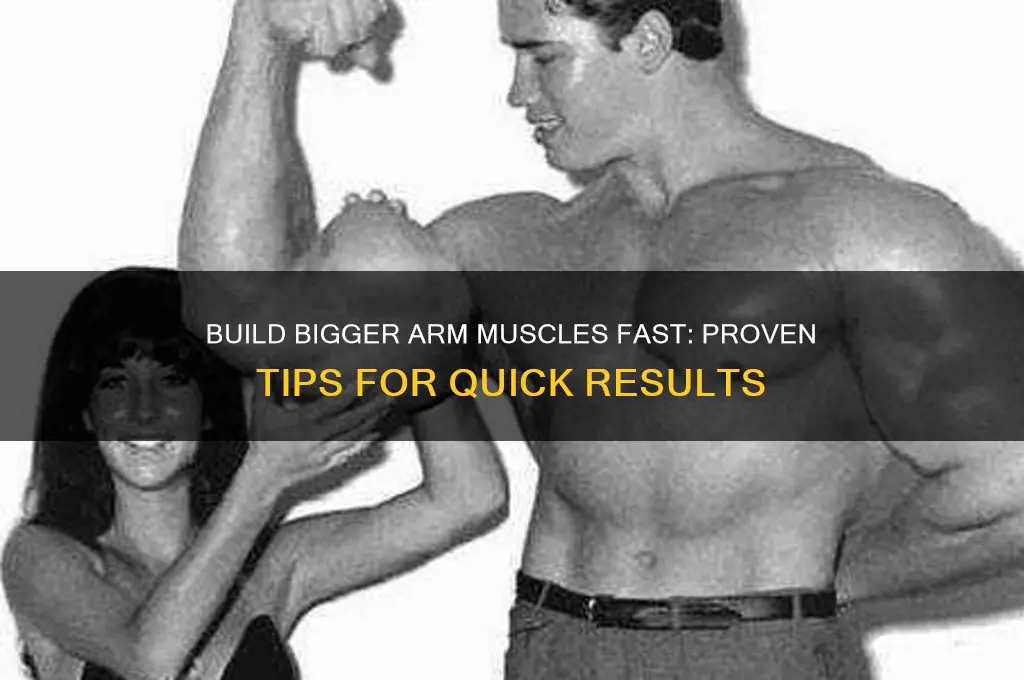 Build Bigger Arm Muscles Fast: Proven Tips For Quick Results | CyVigor