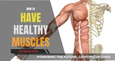 Healing Bruised Muscles: Effective Strategies For Quick Recovery | CyVigor