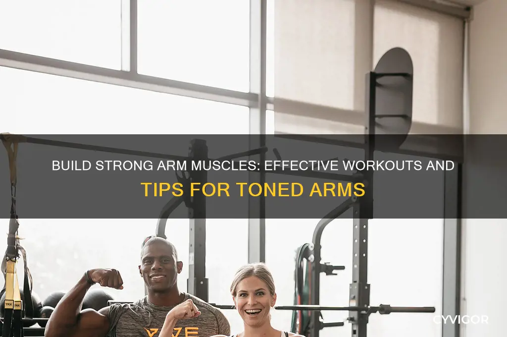 Build Strong Arm Muscles: Effective Workouts And Tips For Toned Arms ...