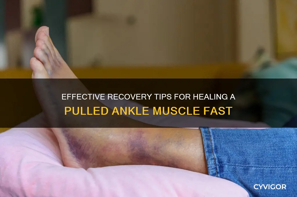 Effective Recovery Tips For Healing A Pulled Ankle Muscle Fast | CyVigor