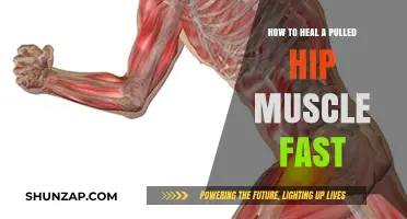 Effective Healing Strategies For Pulled Gluteus Medius Muscle Recovery ...