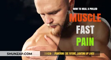 Effective Healing Strategies For Pulled Adductor Muscle Recovery | CyVigor