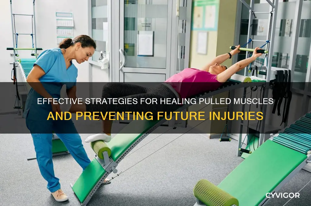 Effective Strategies For Healing Pulled Muscles And Preventing Future ...