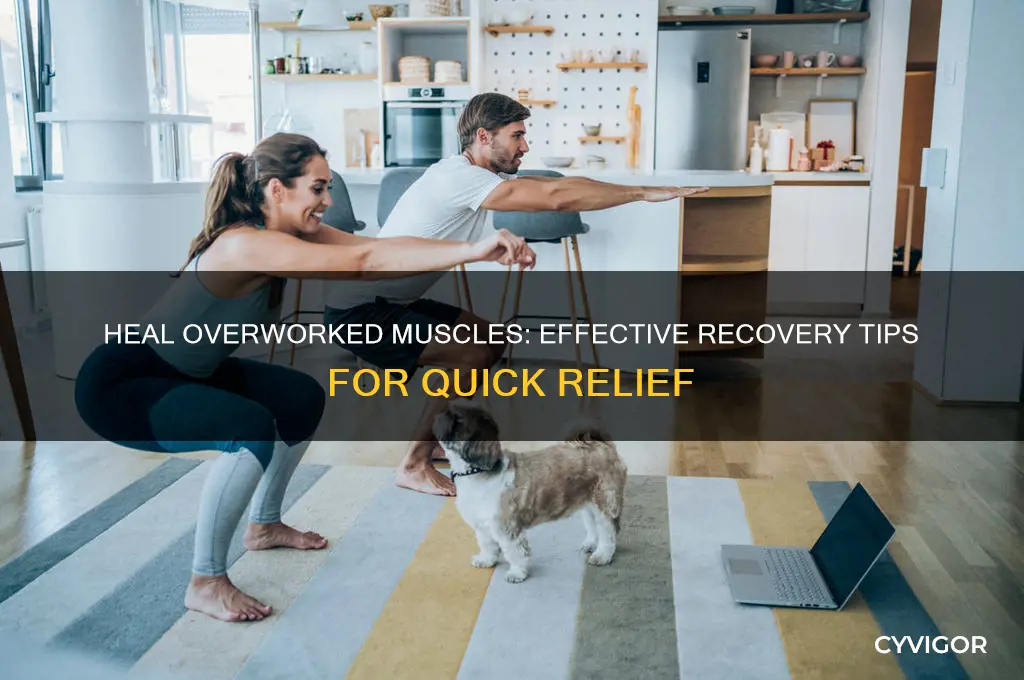 Heal Overworked Muscles: Effective Recovery Tips For Quick Relief | CyVigor