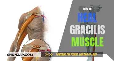Healing Your Adductor Muscle: A Comprehensive Guide | CyVigor