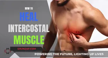 Healing Your Iliopsoas: A Guide To Muscle Recovery | CyVigor
