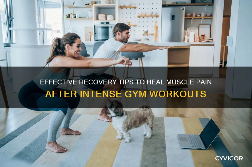 Effective Recovery Tips To Heal Muscle Pain After Intense Gym Workouts ...