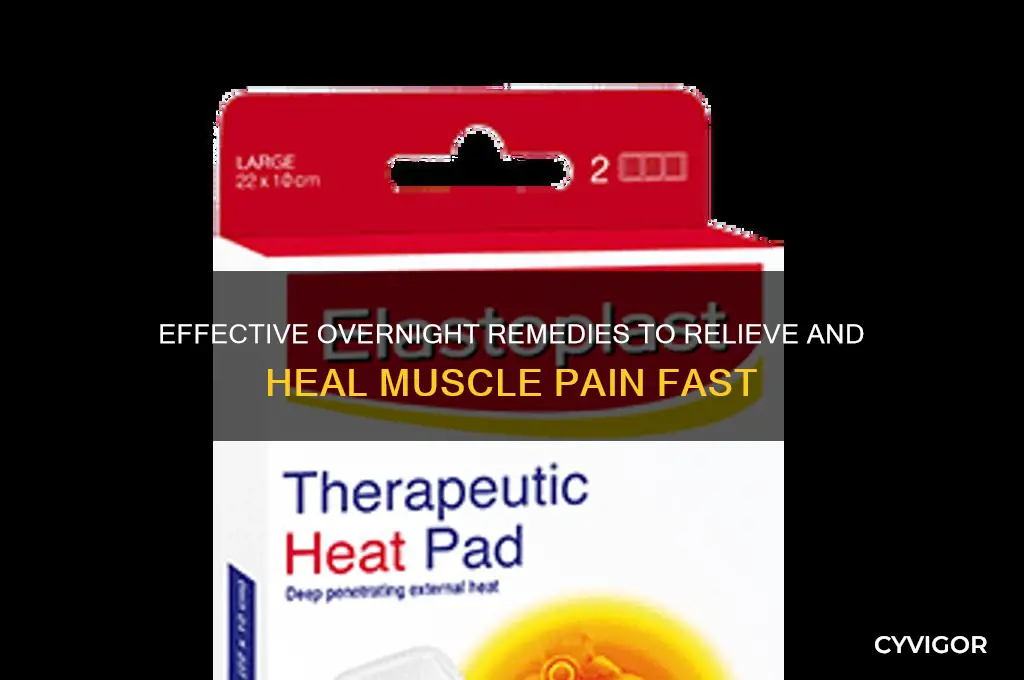 Effective Overnight Remedies To Relieve And Heal Muscle Pain Fast | CyVigor